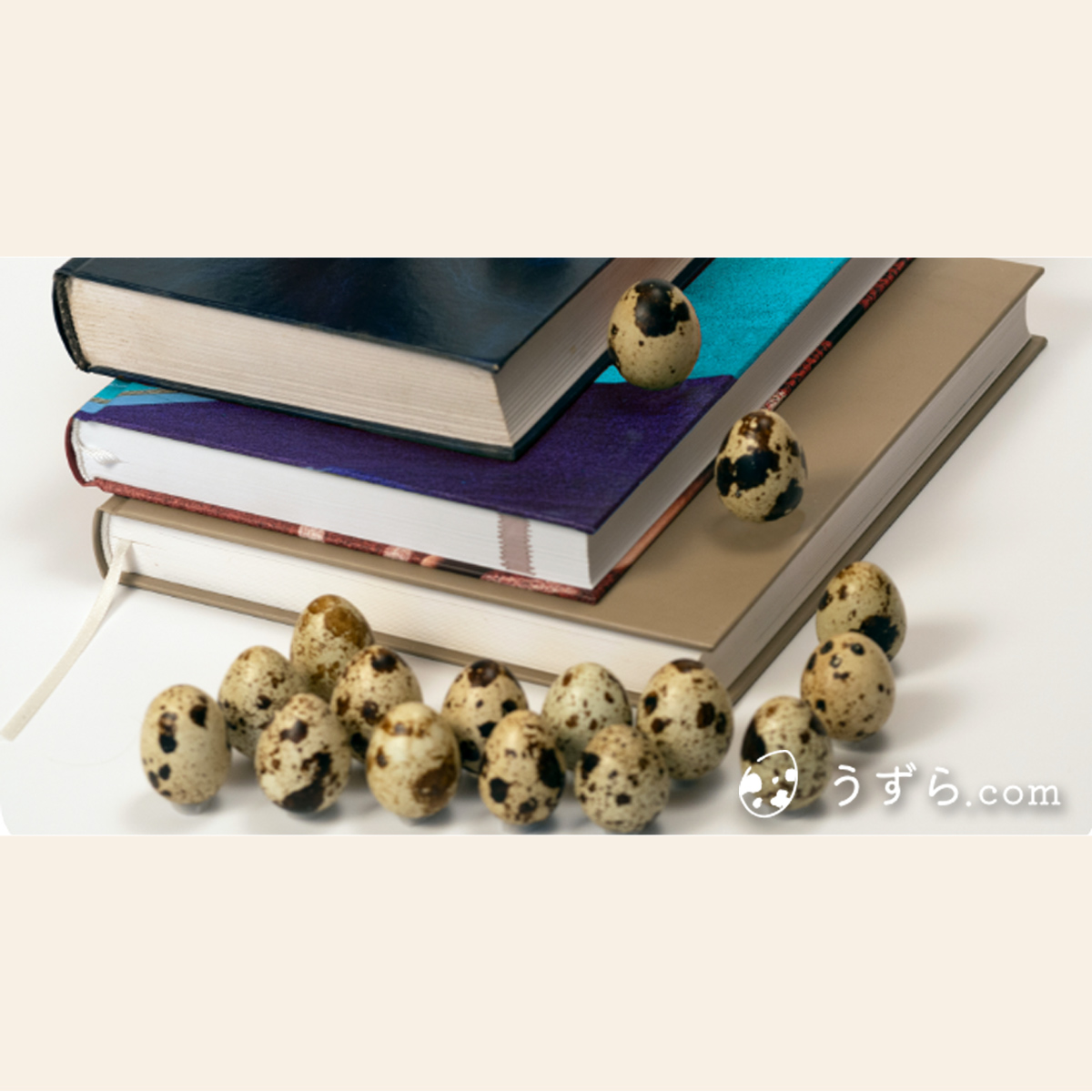 うずらの卵のトリプル百科 | うずら.com