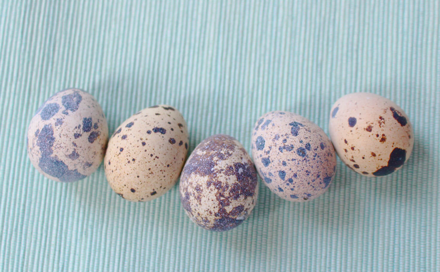 うずらの卵のトリプル百科 | うずら.com